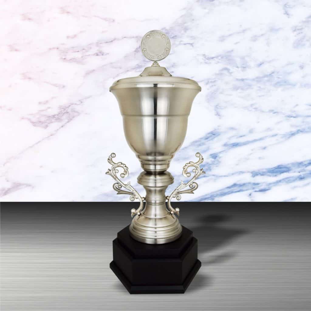 Buy Quality EXWS6003 - Exclusive White Silver Trophy at Sapiens Trophy ...